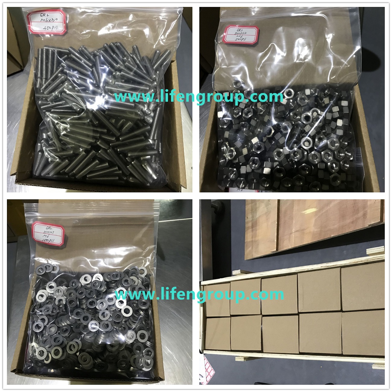 GR.2 Titanium Fastners - LIFENG INDUSTRY GROUP CO., LIMITED